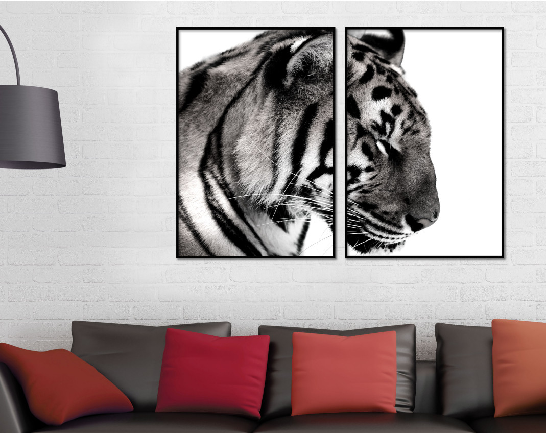 Tiger - Poster i Två delar