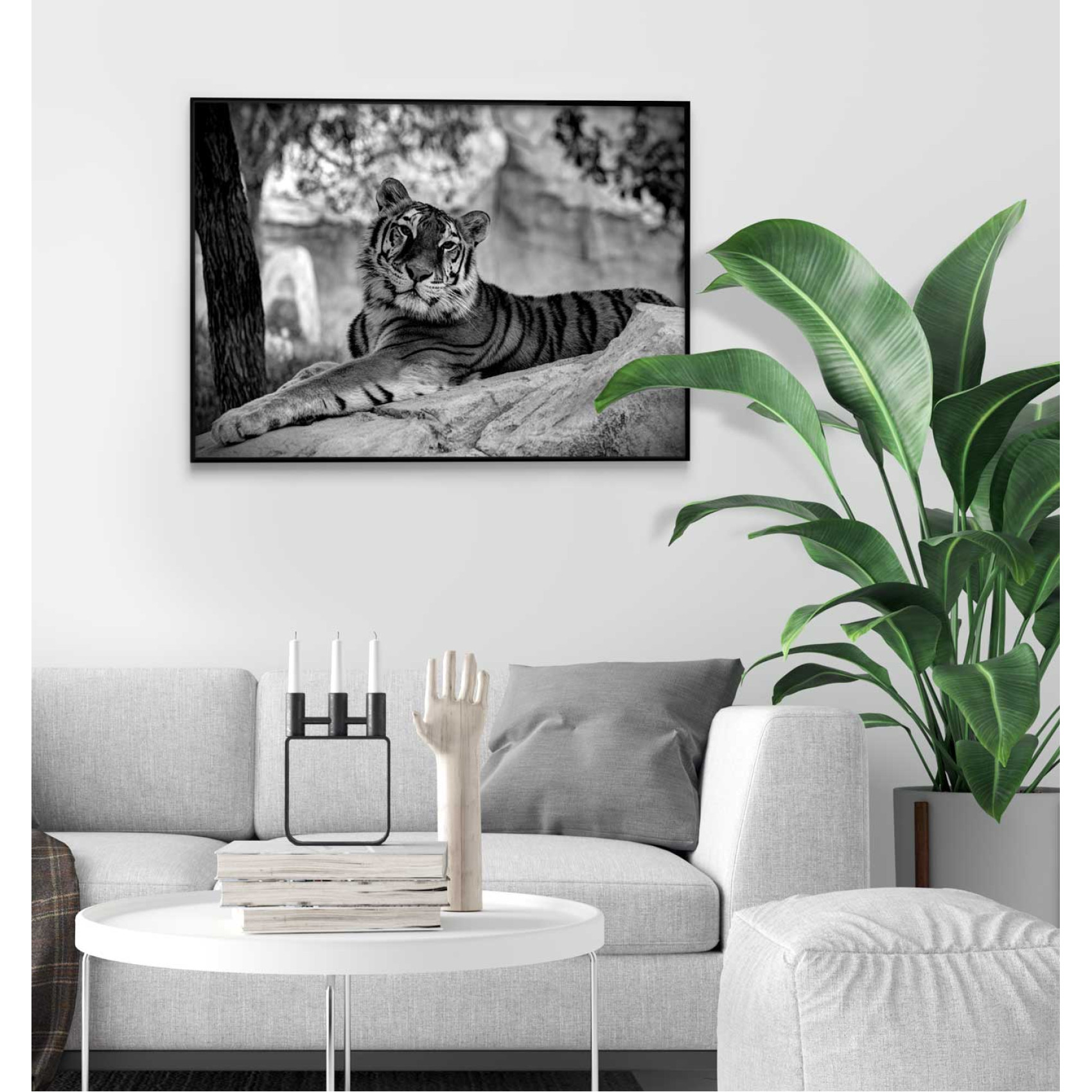 Stor Tiger Svartvit - Poster