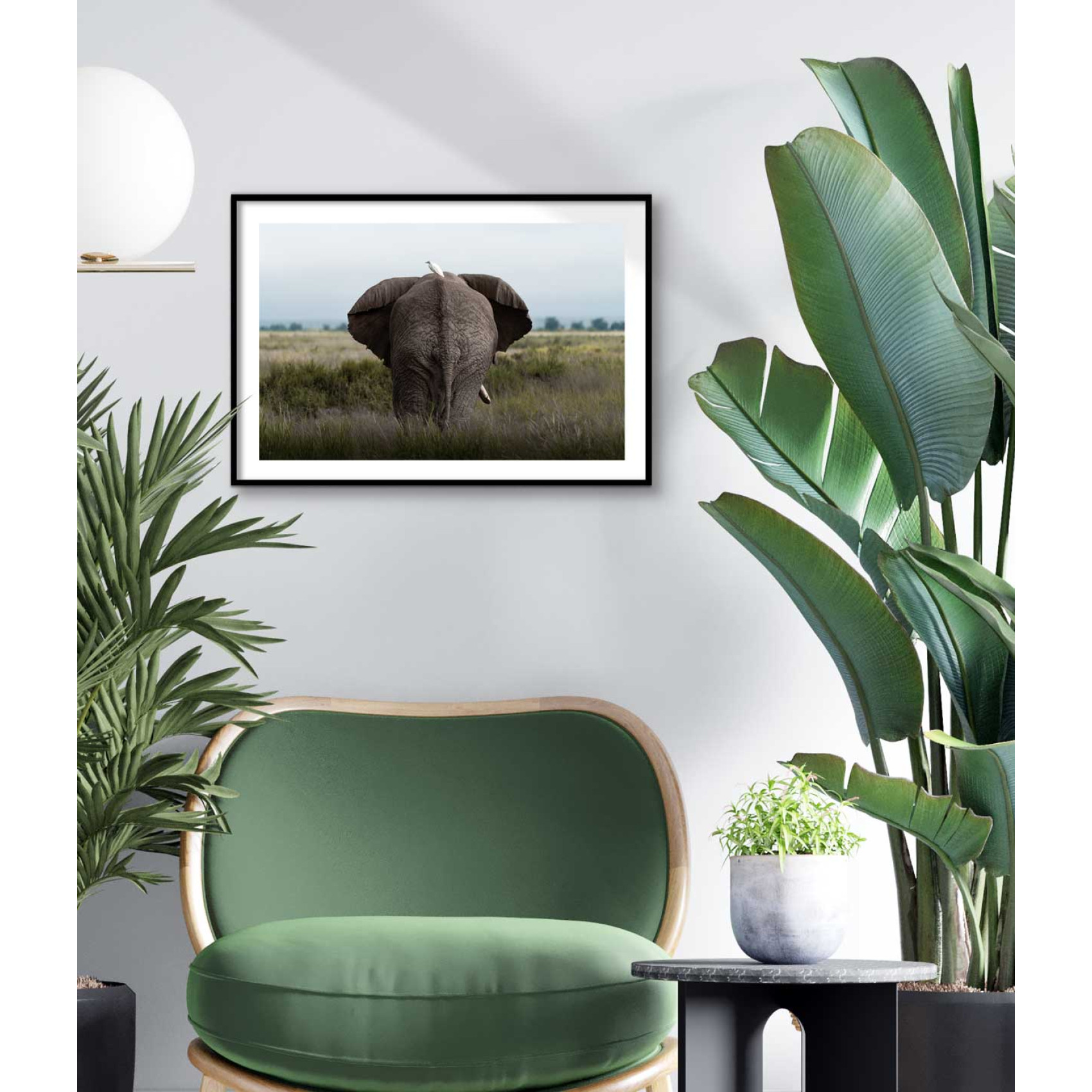 Elephant - Animals poster