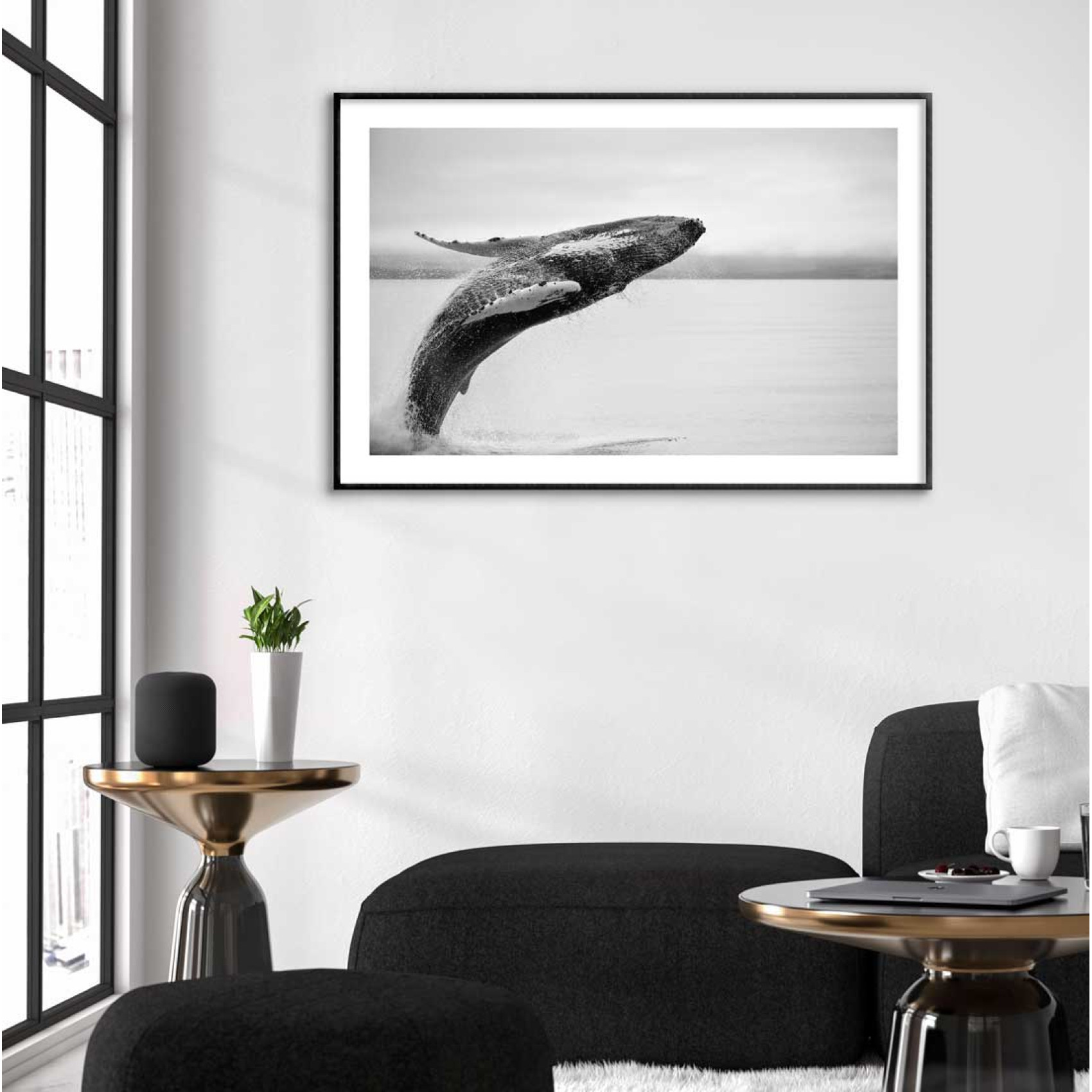 Posters och tavlor med unika bilder : Knölval i havet - Svartvit ...