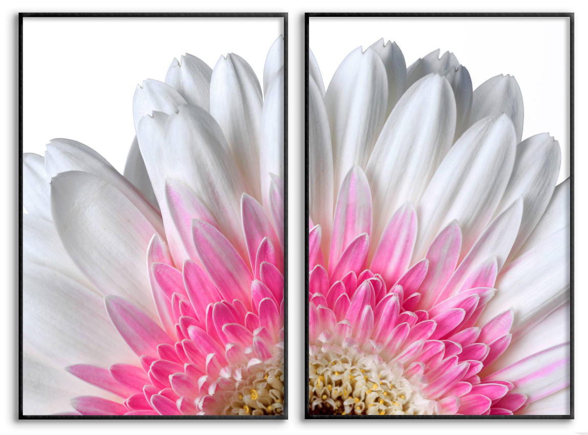 Rosa & vit blomma - Ljus tavla i två delar