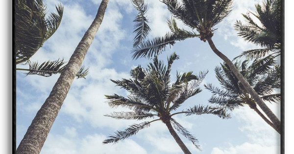 Palm Trees - Simple Vintage Poster