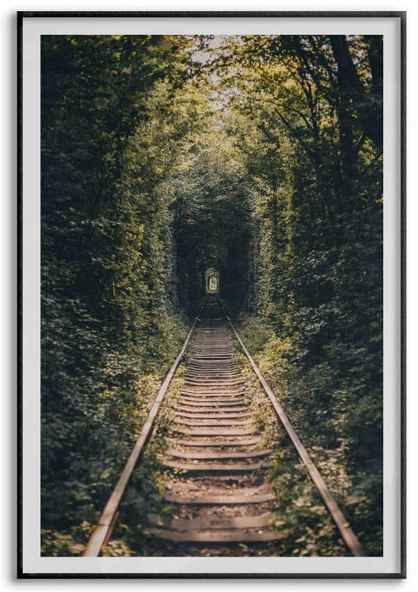 Vacker Natur & Järnväg - Posters med naturmotiv - Fri frakt!