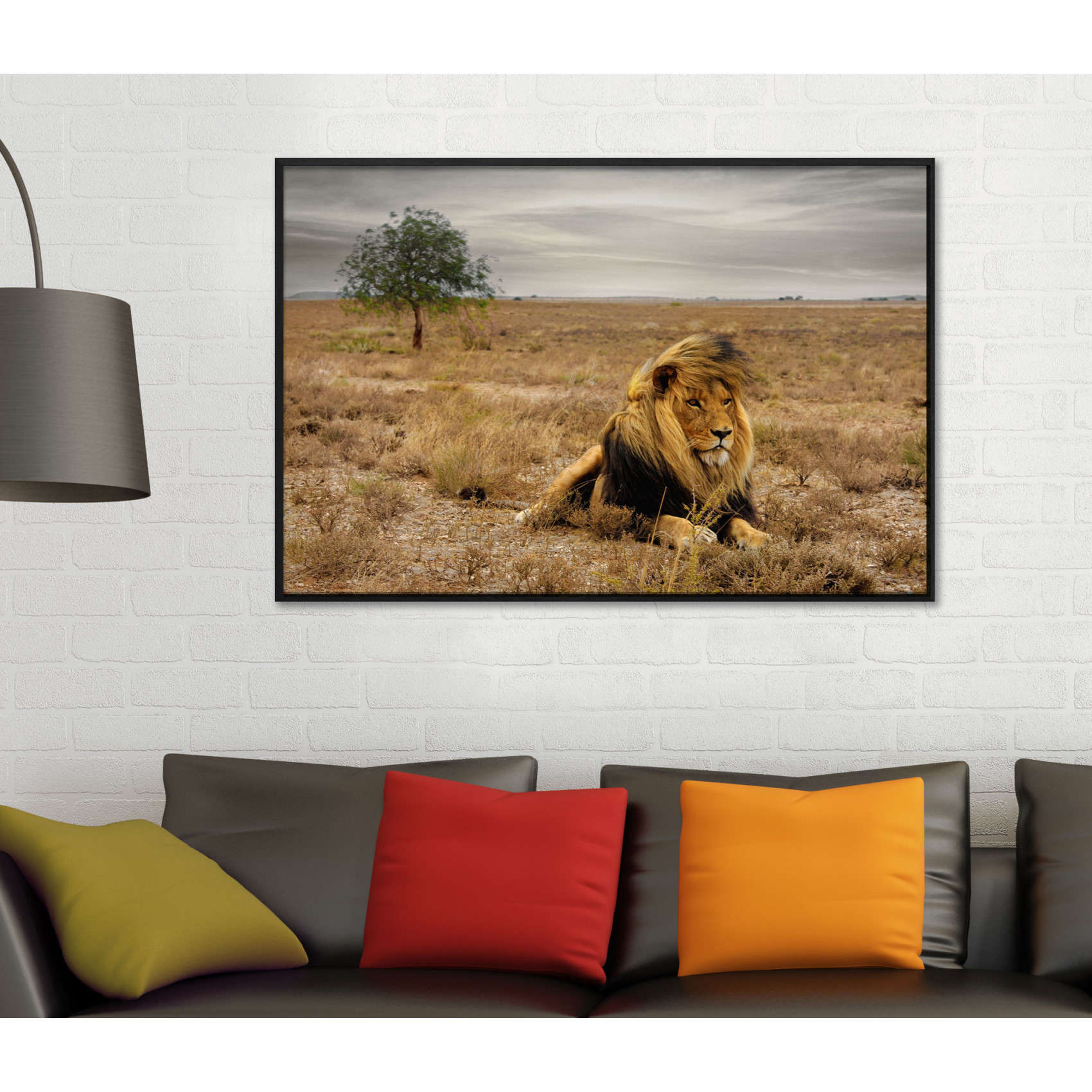 African Lion - Poster