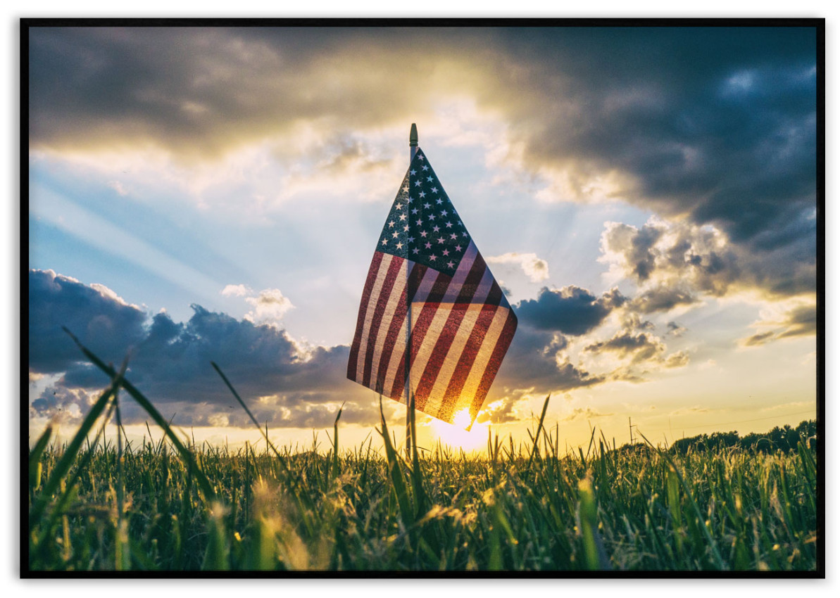 USA flagga på åker - Poster