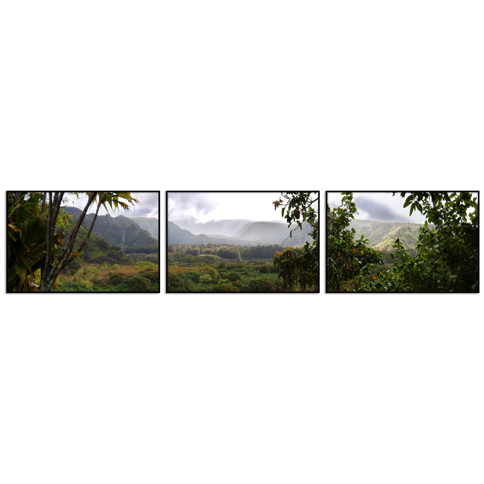 Tavla med vacker natur i Hawaii - Tavla i tre delar