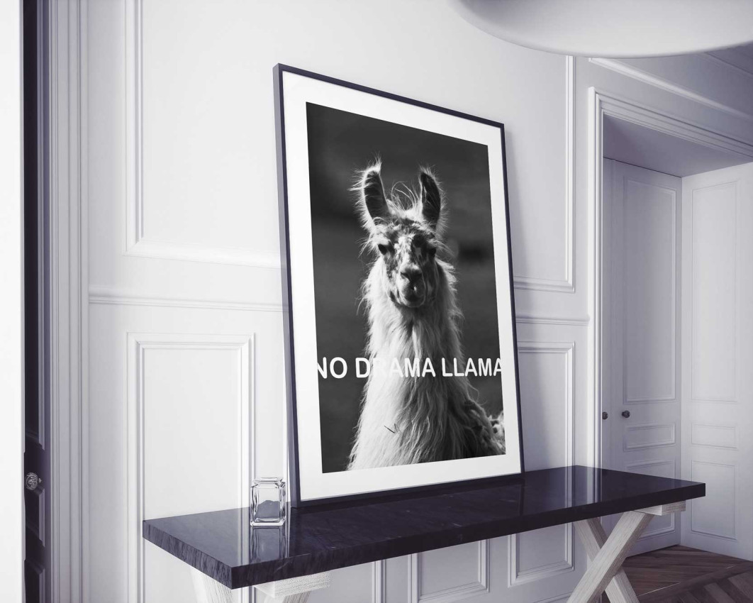 No drama Llama - Trendy poster
